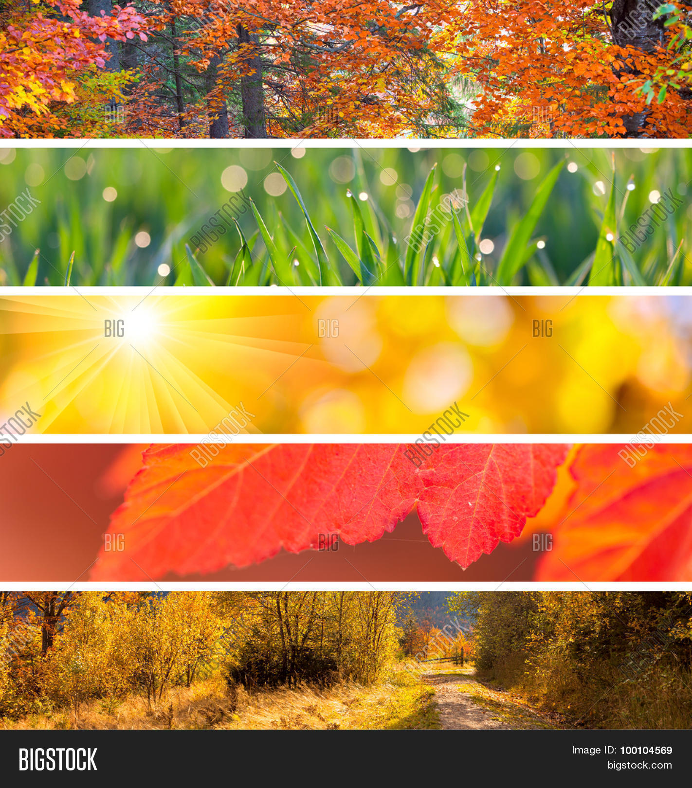 Collection Autumn Image & Photo (Free Trial) | Bigstock