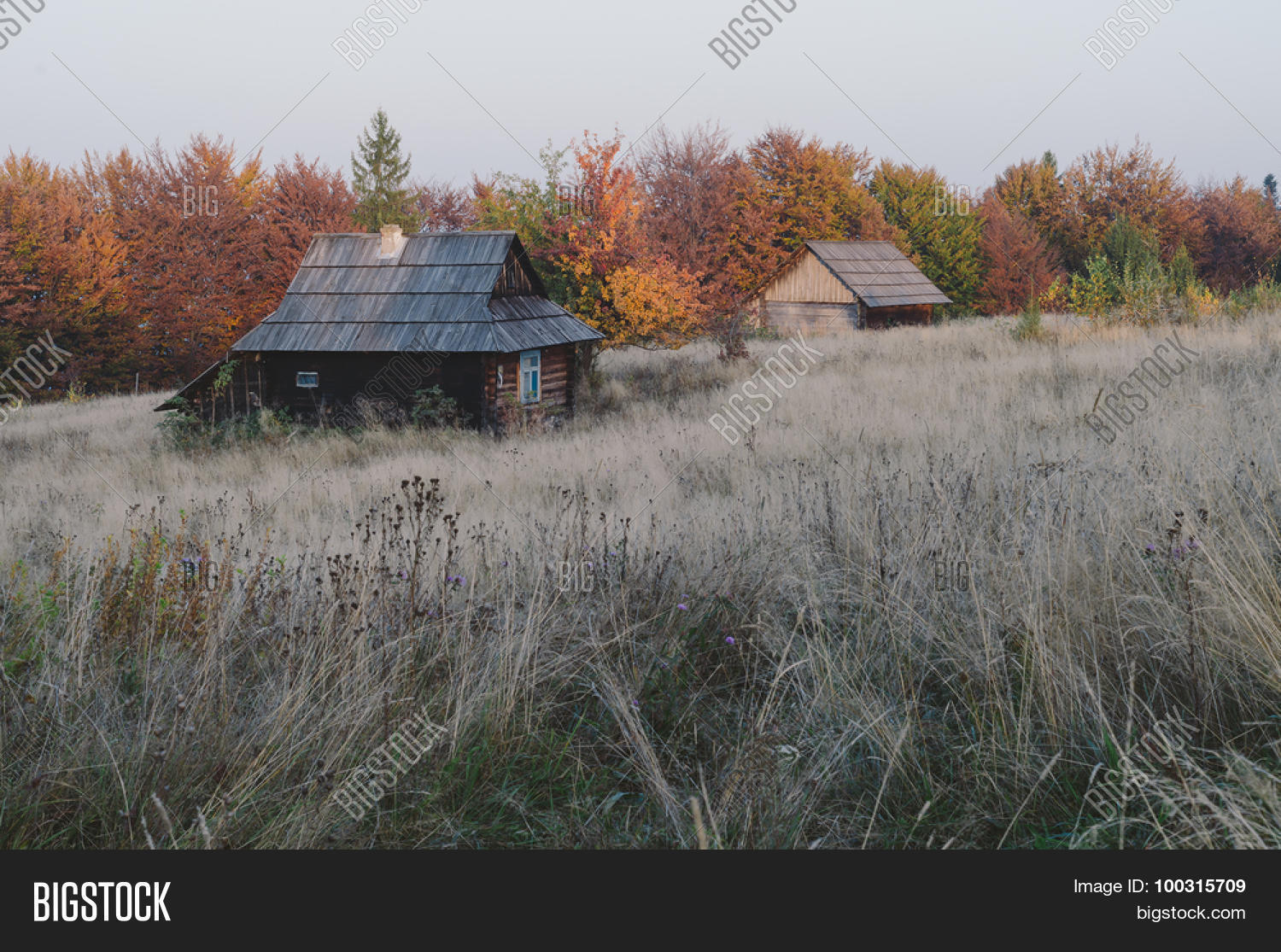 Low Contrast Color Photography