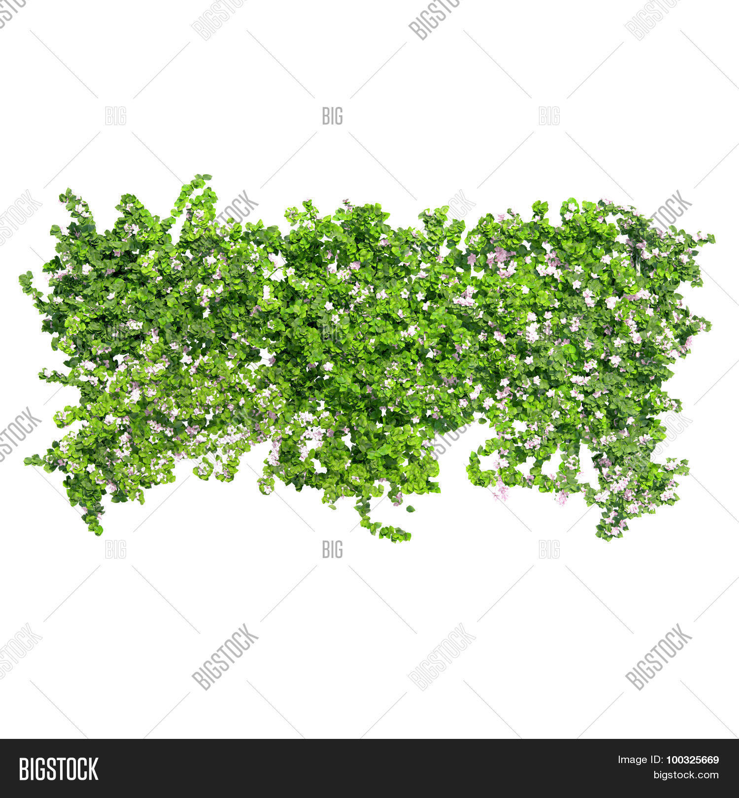 Pergola Garden Top Image & Photo (Free Trial) | Bigstock