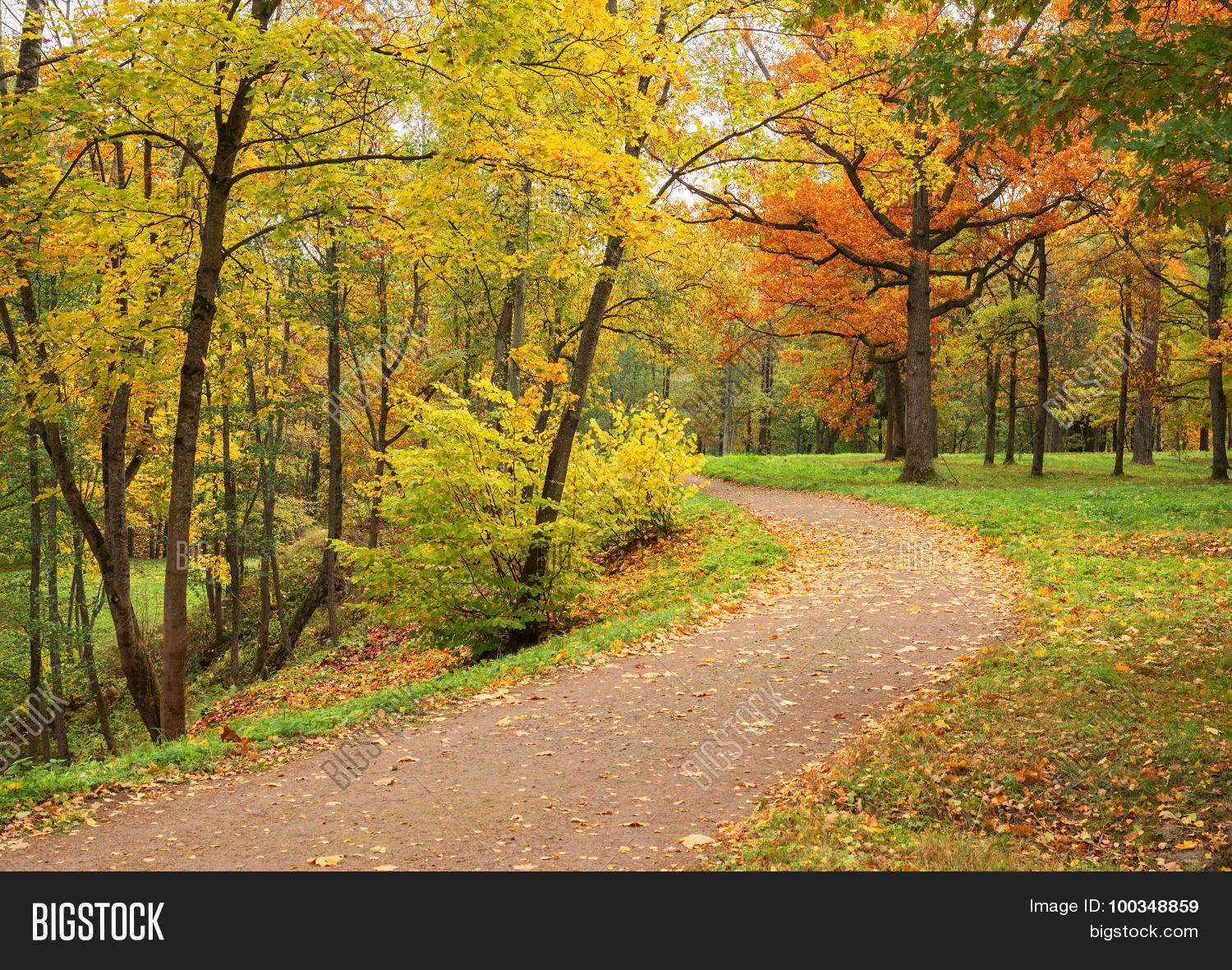 Autumn Landscape. Park Image & Photo (Free Trial) | Bigstock