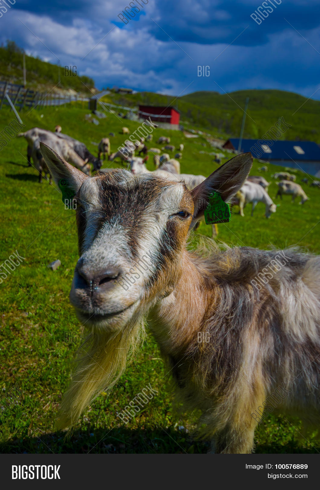 VALDRES, NORWAY - 6 Image & Photo (Free Trial) | Bigstock