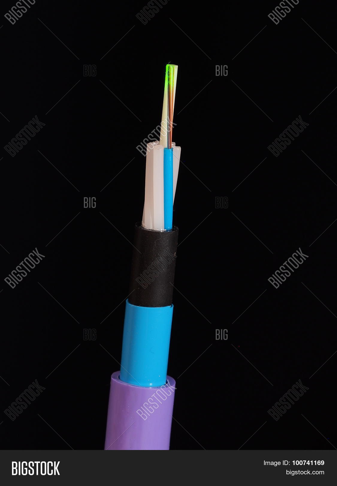 Violet Jacketed Fiber Image & Photo (Free Trial) | Bigstock