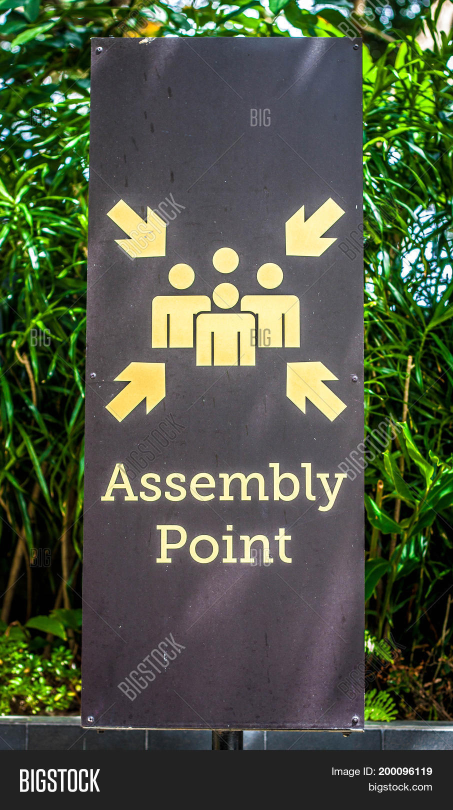 Assembly Point Sign Image & Photo (Free Trial) | Bigstock