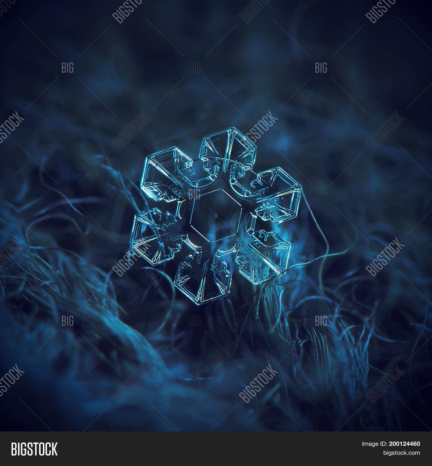 Real Snowflake Macro Image & Photo (Free Trial) | Bigstock