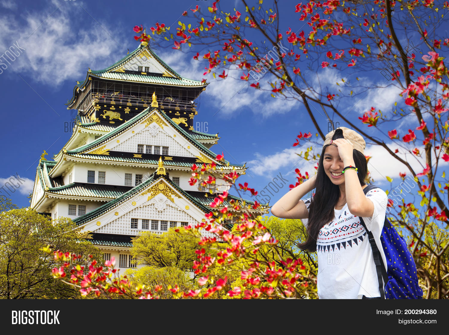 Beautiful Osaka Castle Image & Photo (Free Trial) | Bigstock