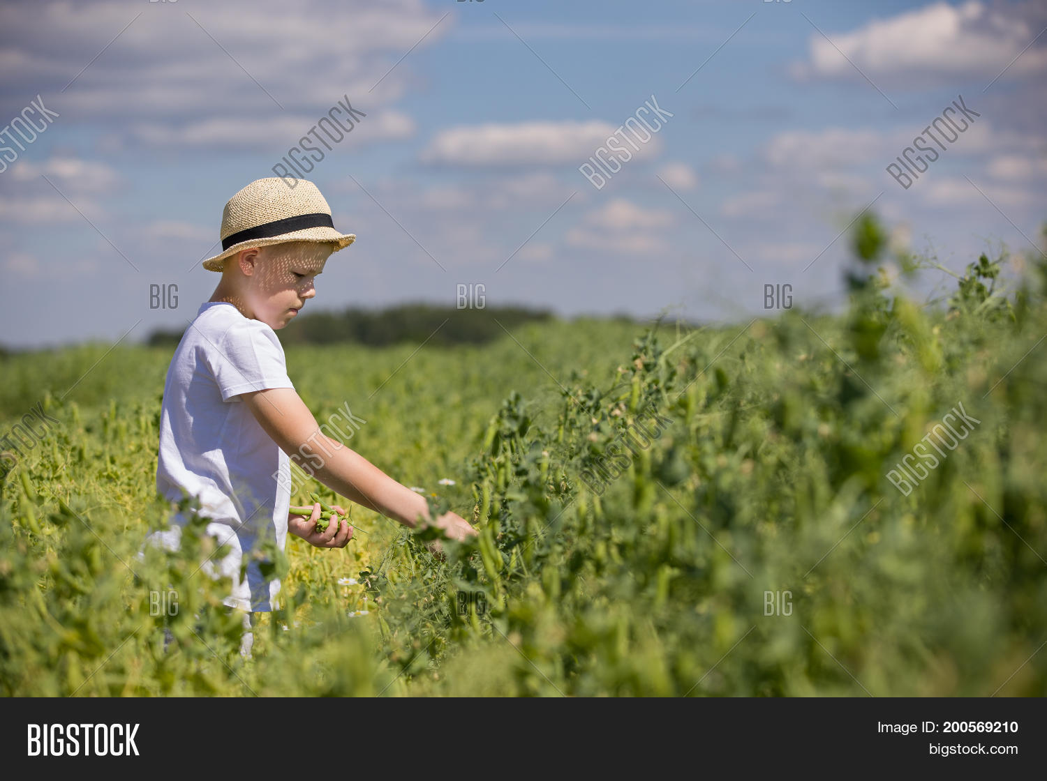 Portrait Cute 图片和照片（免费试用） | Bigstock