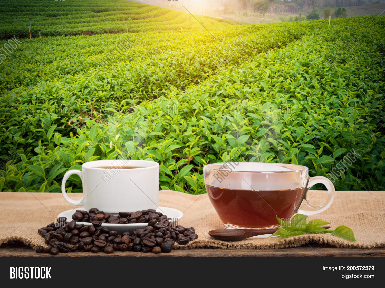Coffee Tea Morning On Image & Photo (Free Trial) | Bigstock