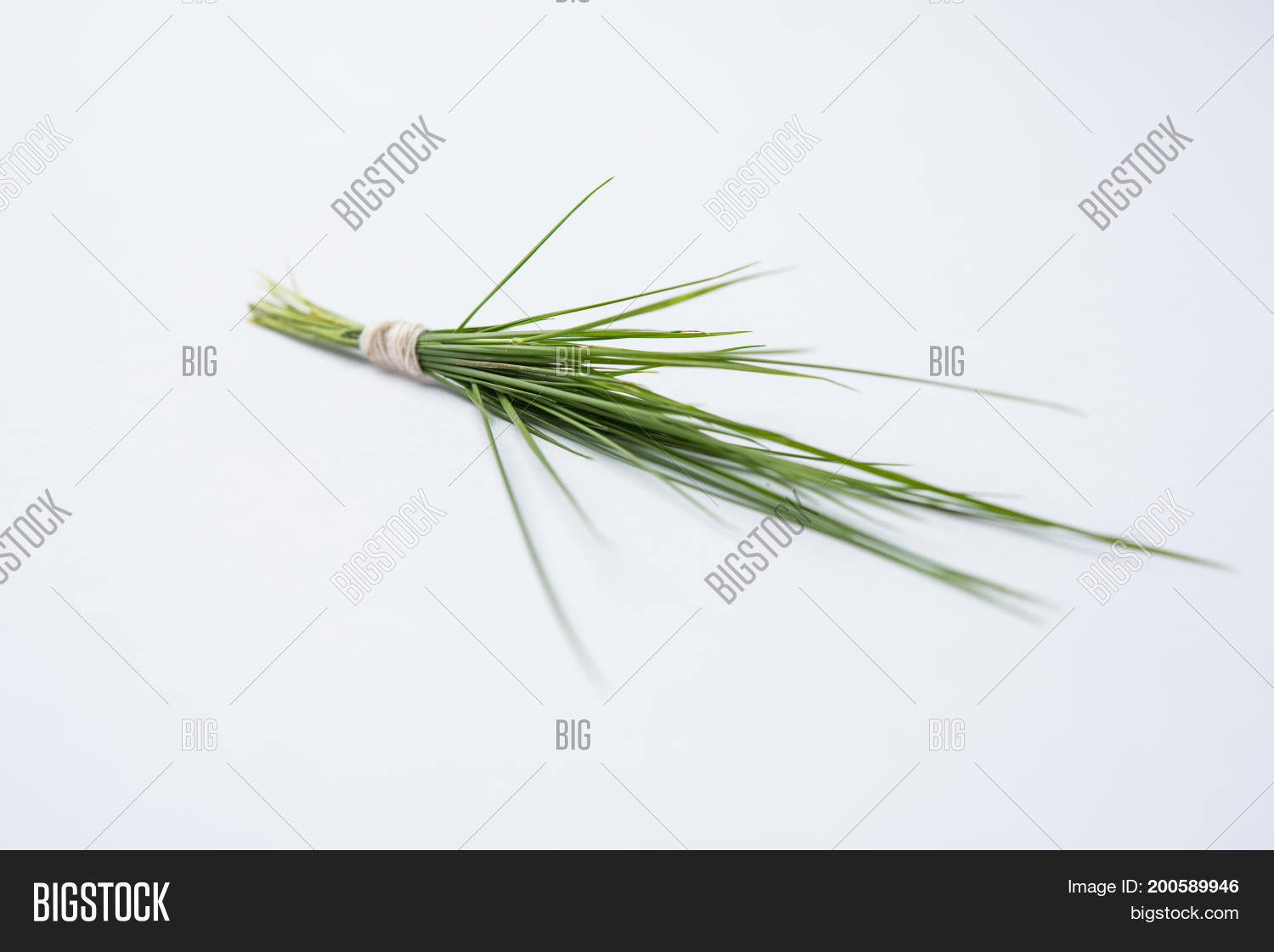 Durwa Durva Green Image & Photo (Free Trial) | Bigstock