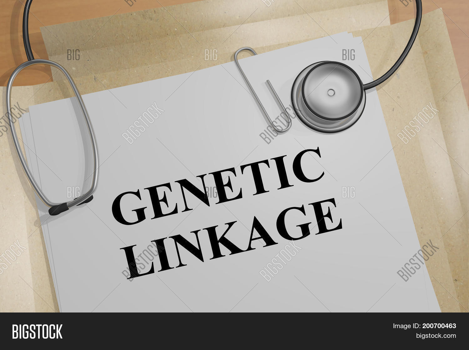 Genetic Linkage - Image & Photo (Free Trial) | Bigstock