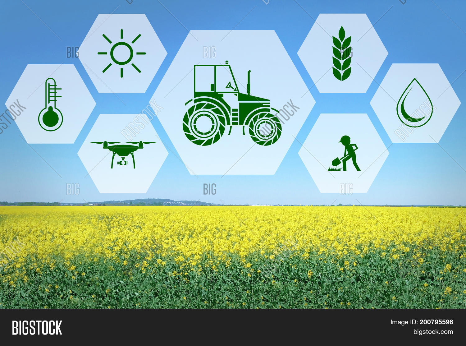 Icons Field On Image & Photo (Free Trial) | Bigstock