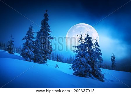 Moon Rise Winter Image & Photo (Free Trial) | Bigstock