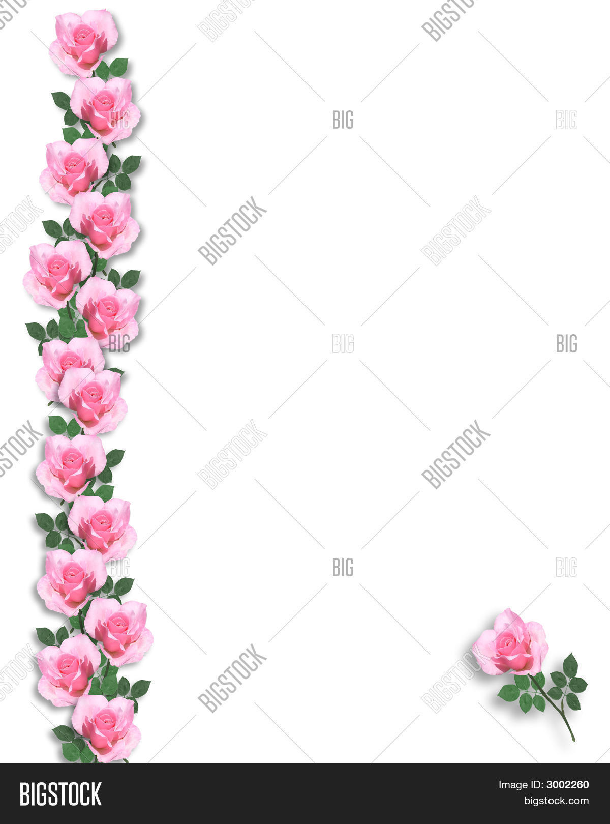 Pink Roses Border Image & Photo (Free Trial) | Bigstock