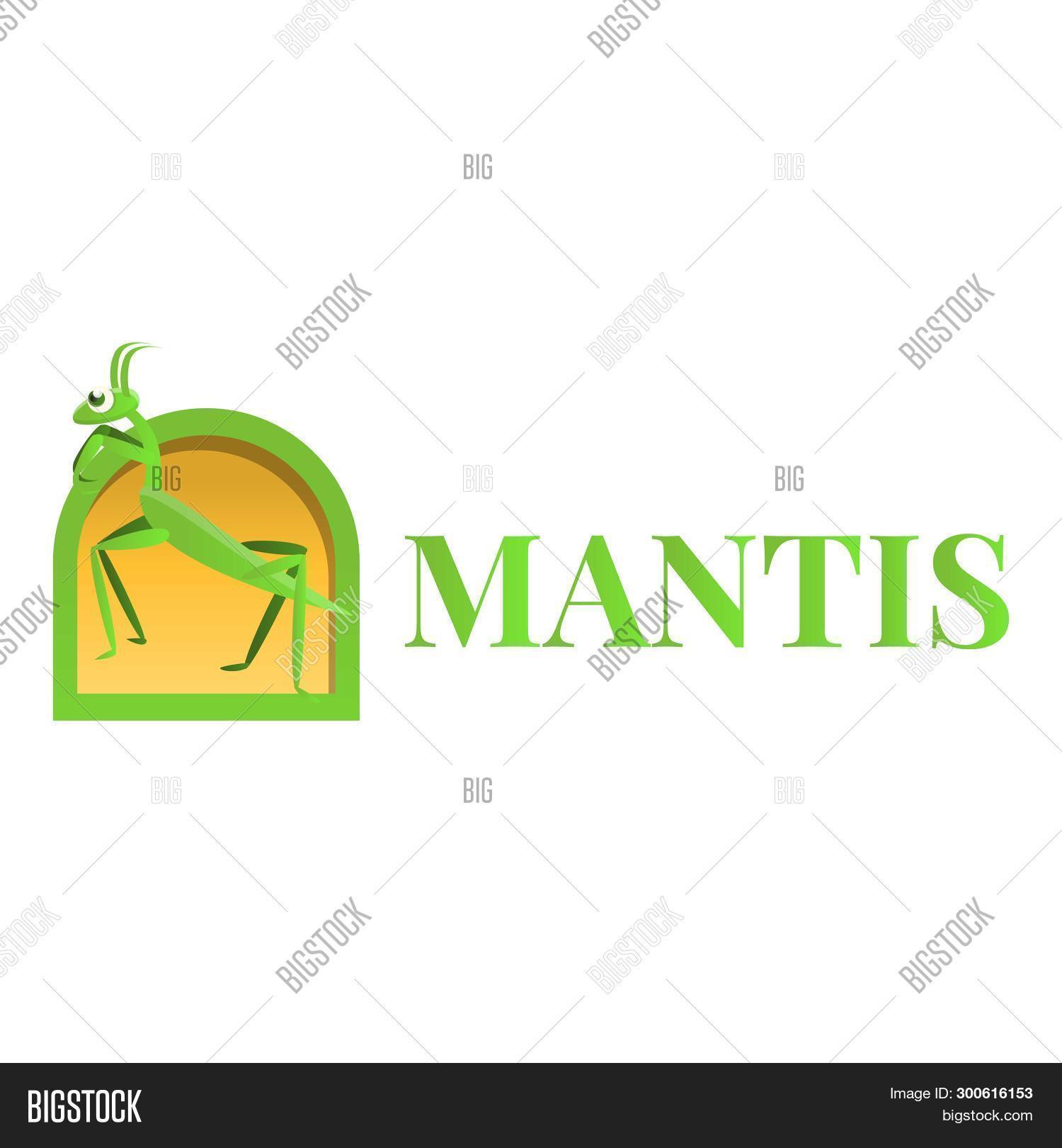 Mantis Logo. Cartoon Image & Photo (Free Trial) | Bigstock