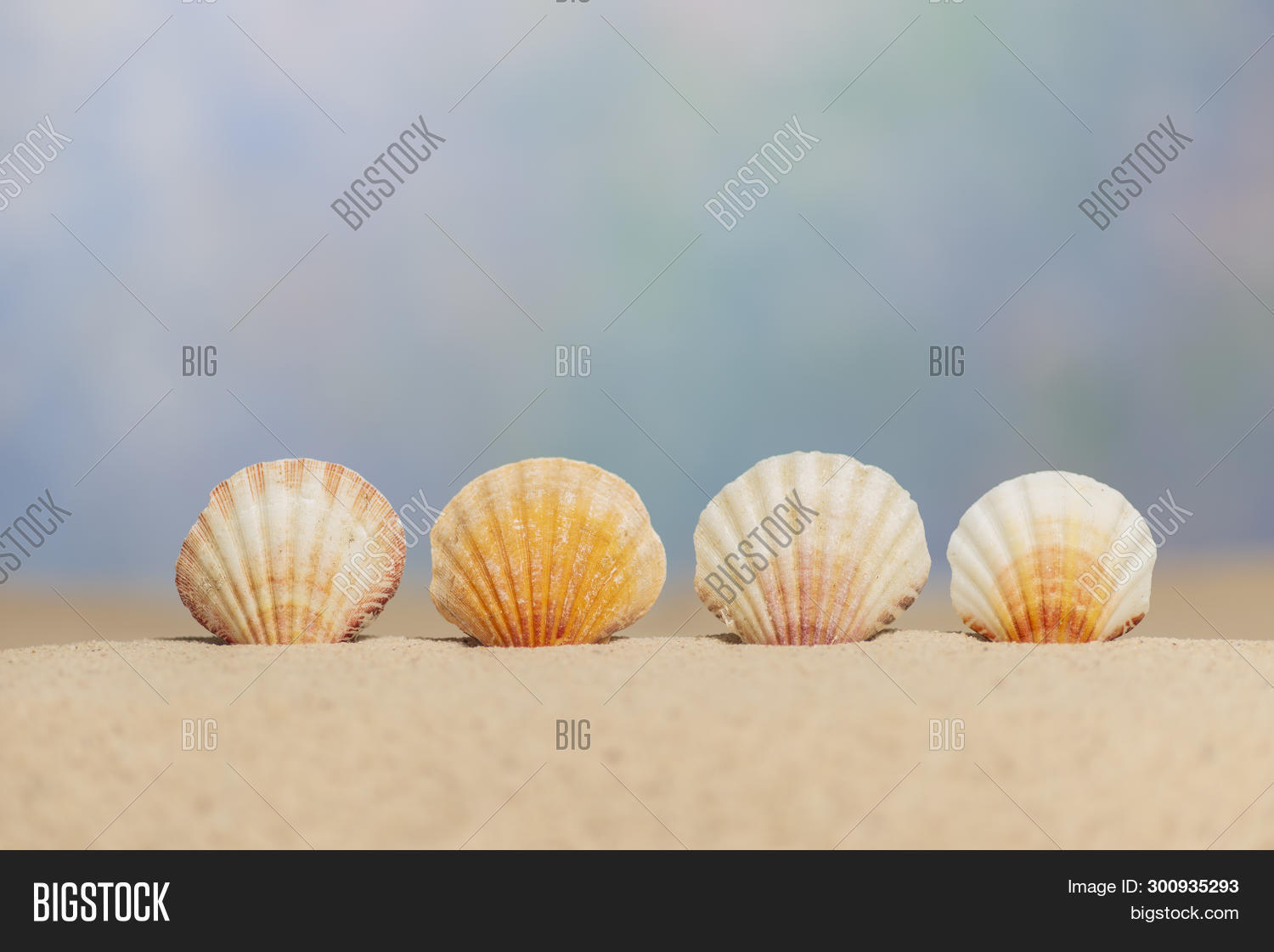 Horizontal Shot Four Image & Photo (Free Trial) | Bigstock
