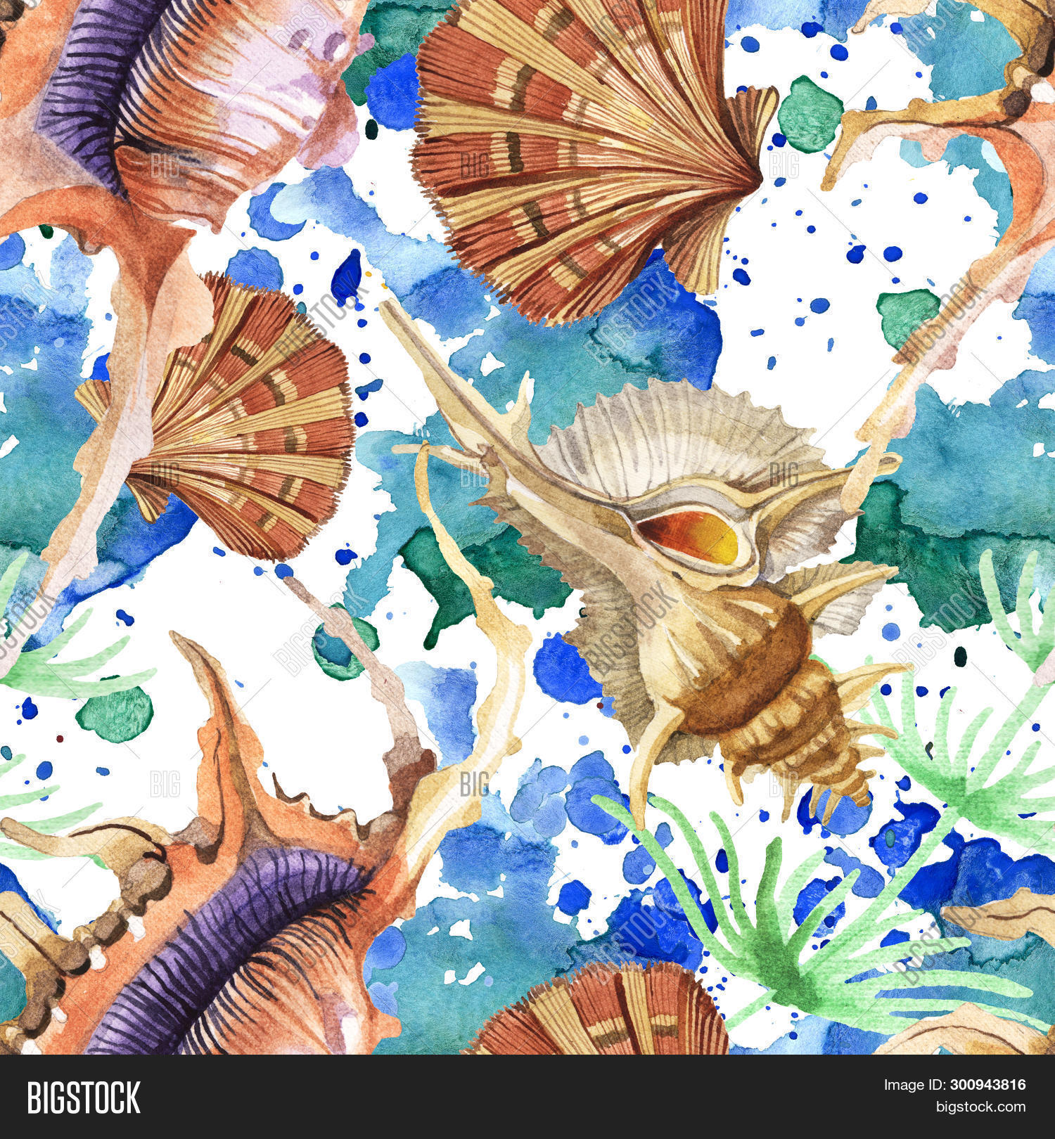 Summer Beach Seashell Image & Photo (Free Trial) | Bigstock