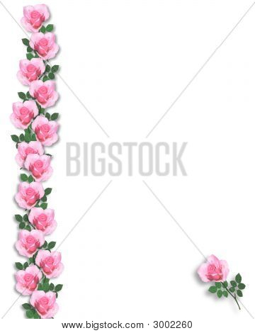 Pink Roses Border Image & Photo (Free Trial) | Bigstock