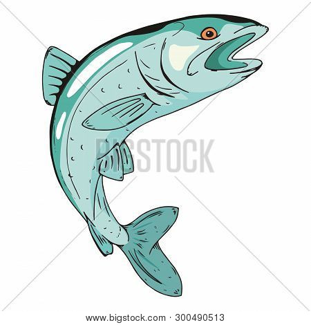 Fish Logo. Vector Vector & Photo (Free Trial) | Bigstock