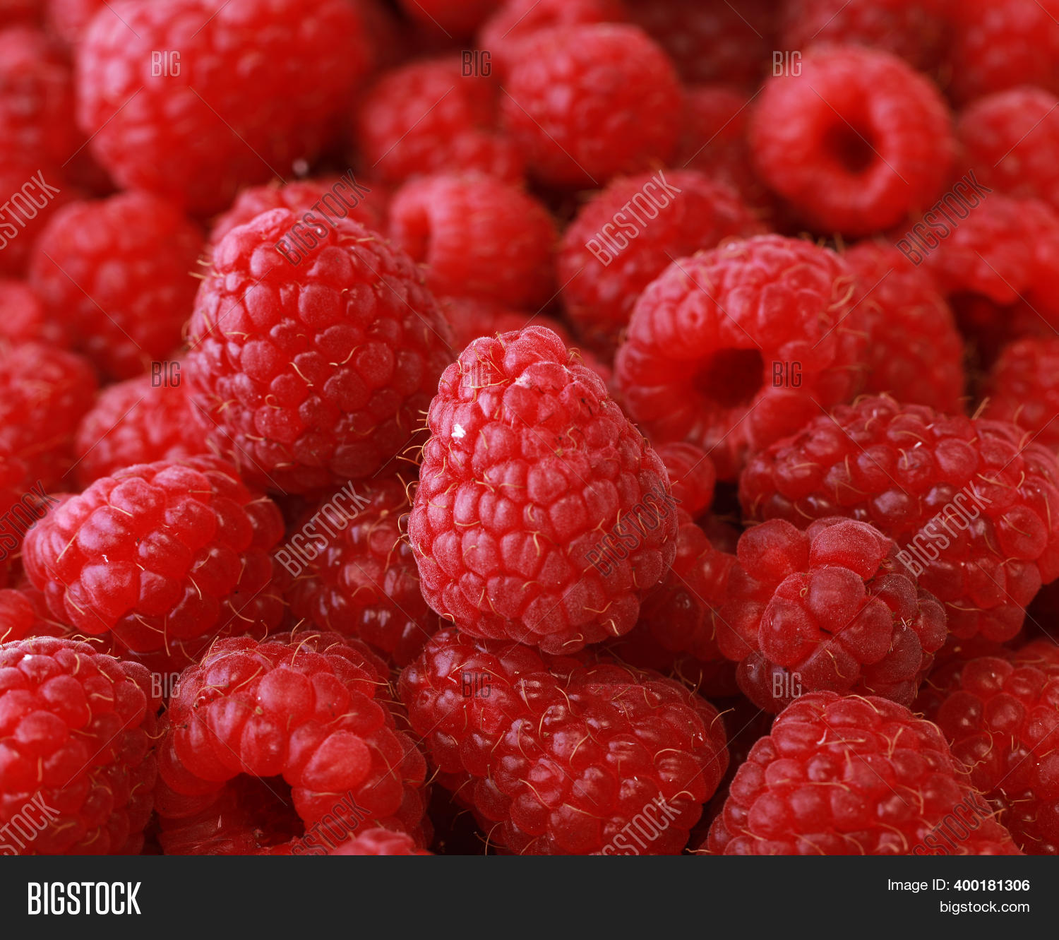 Red Raspberry Image & Photo (Free Trial) | Bigstock