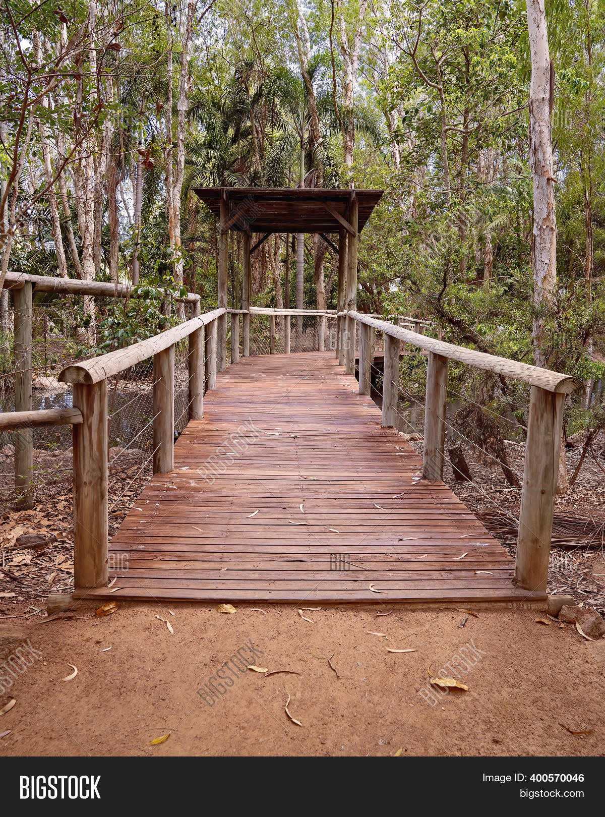 Timber Walking Track Image & Photo (Free Trial) | Bigstock