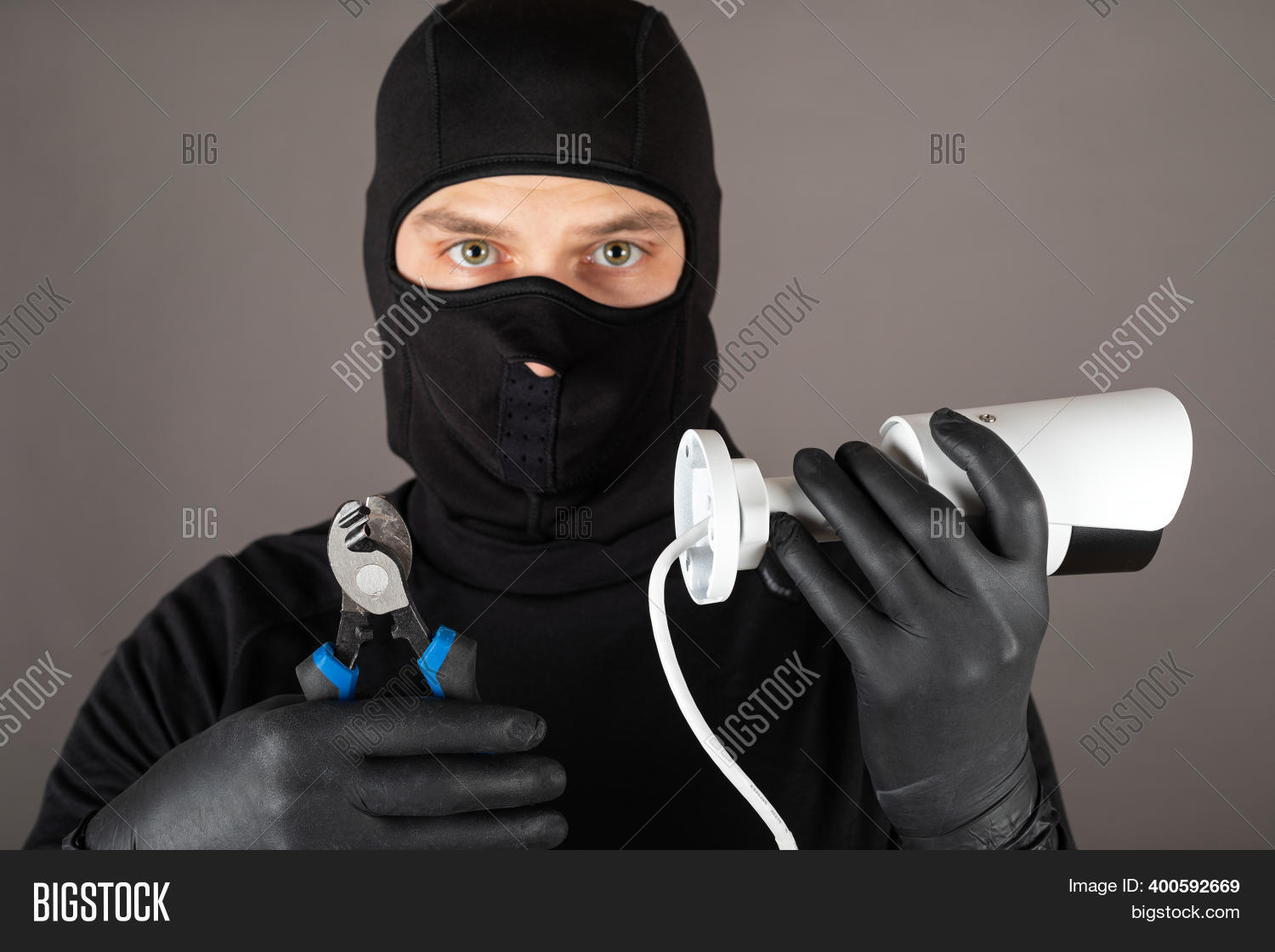 Picture Thief Wearing Image & Photo (Free Trial) | Bigstock