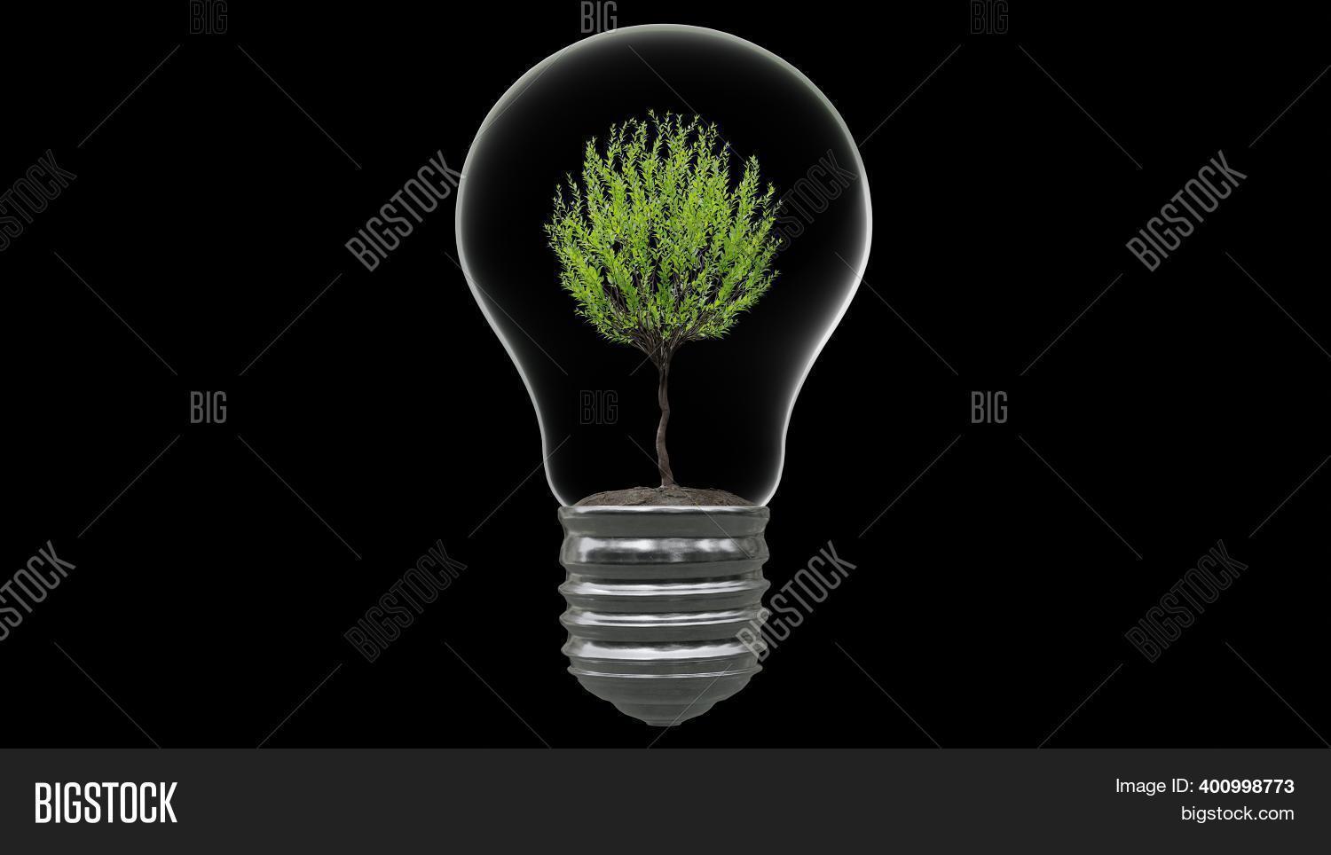 Light Bulb Tree Inside Image & Photo (Free Trial) | Bigstock