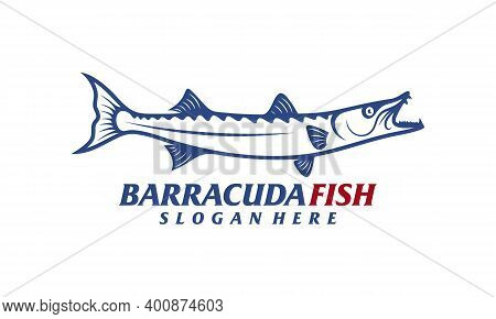 Barracuda Fish Design Vector & Photo (Free Trial) | Bigstock