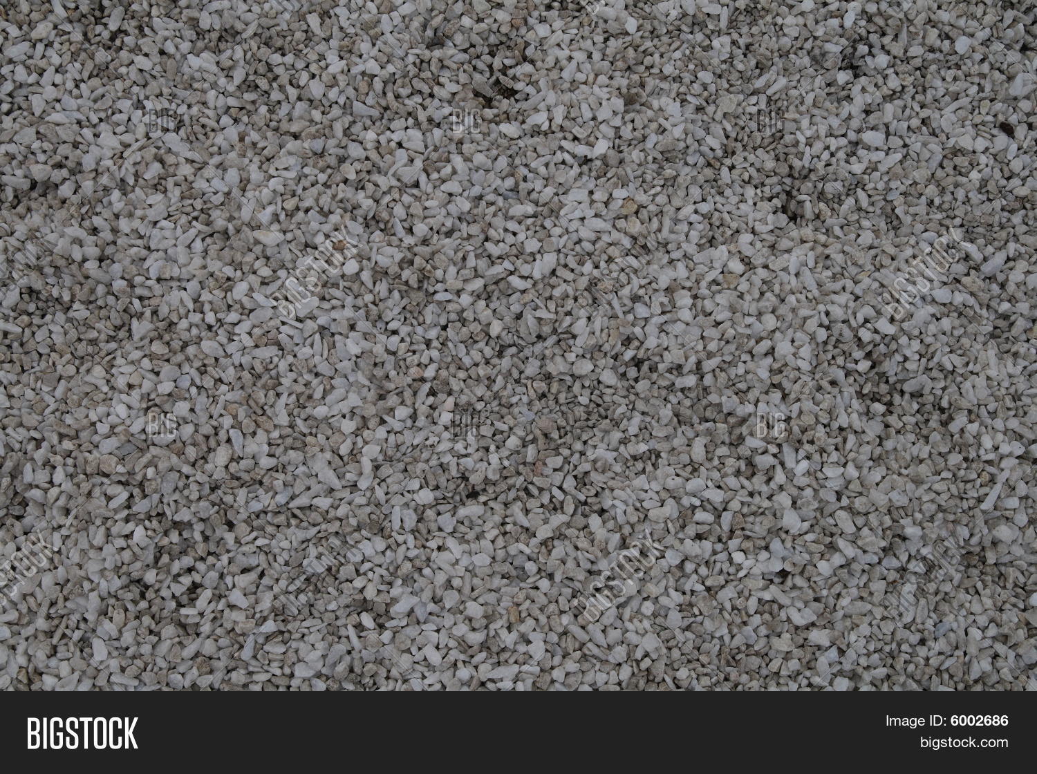 Light Grey Fine- Image & Photo (Free Trial) | Bigstock