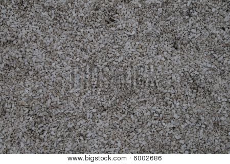 Light Grey Fine- Image & Photo (Free Trial) | Bigstock