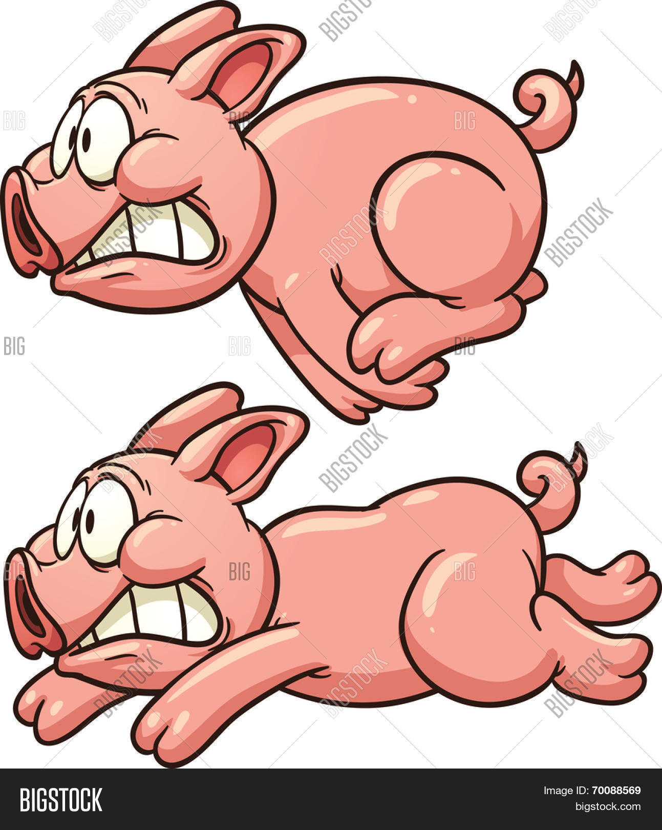 Scared Pig Running. Vector & Photo (Free Trial) | Bigstock