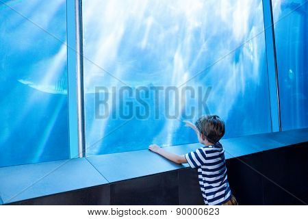 Young Man Pointing Image & Photo (Free Trial) | Bigstock