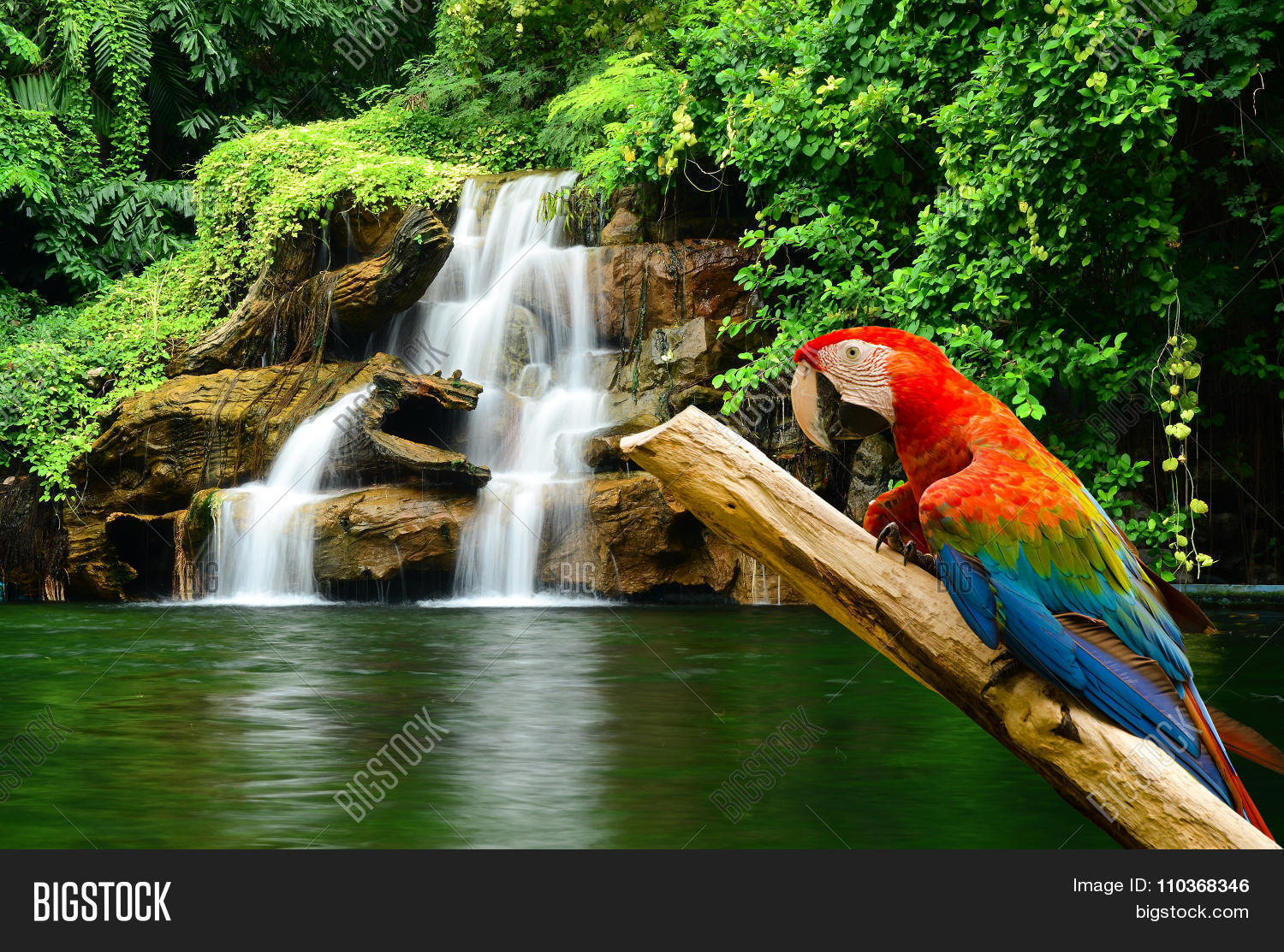 Beautiful afbeelding en foto (gratis proefversie) | Bigstock