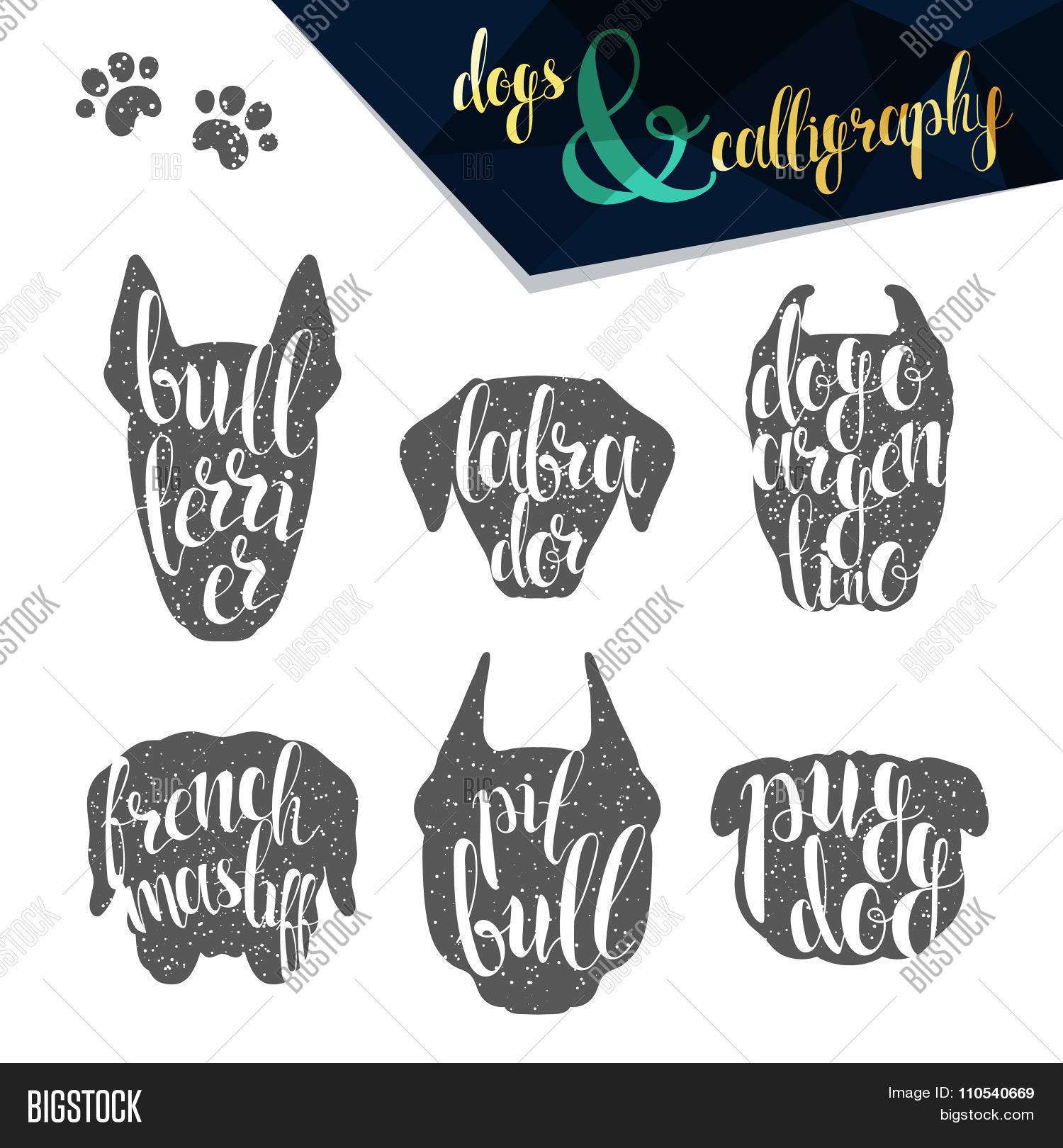 Set Names Dog Breeds Vector & Photo (Free Trial) | Bigstock