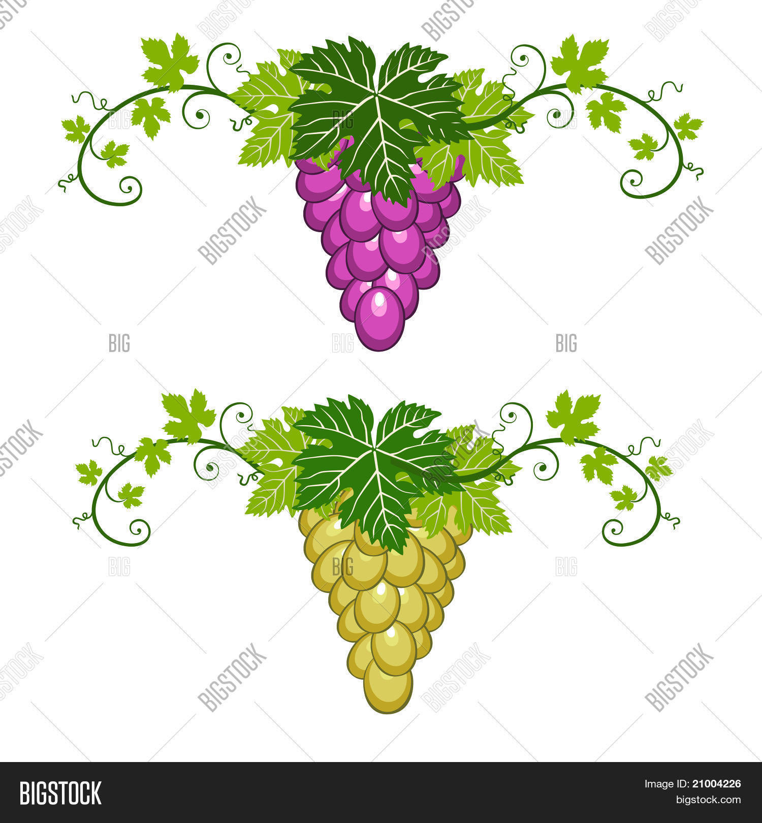 Grapes Border Leaves Vector & Photo (Free Trial) | Bigstock