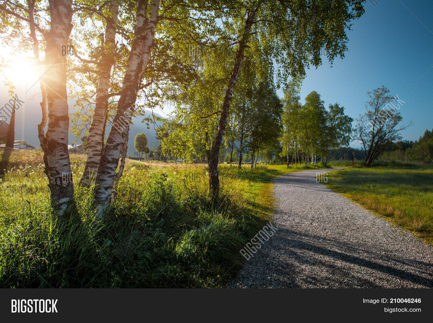 Walking Way Green Image & Photo (Free Trial) | Bigstock