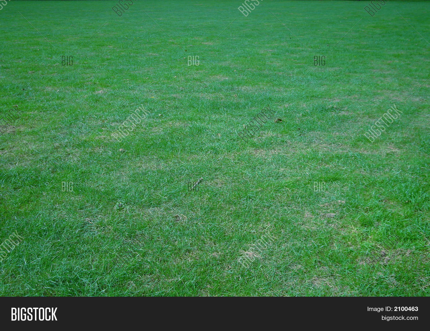 Perfect Lawn Image & Photo (Free Trial) | Bigstock
