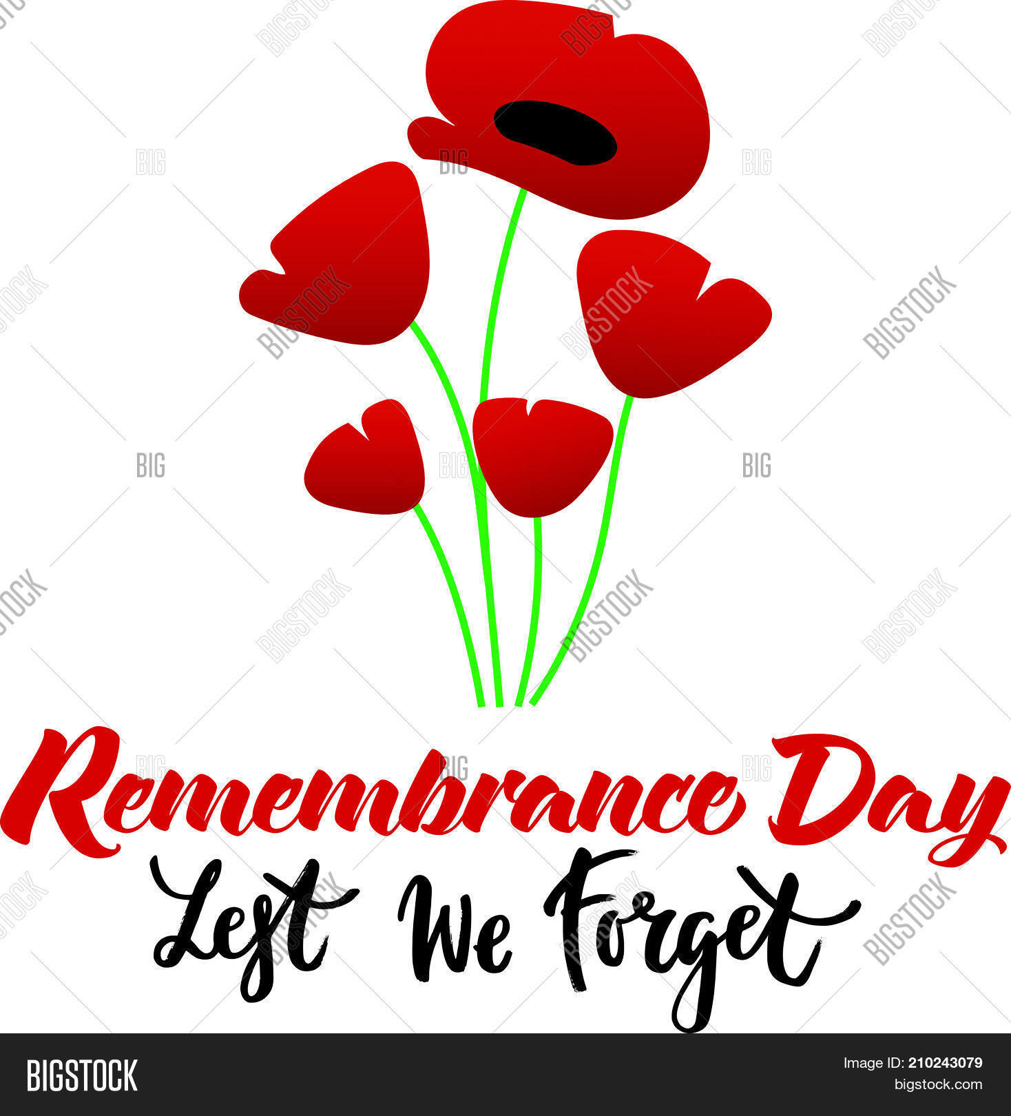 Remembrance Day Vector & Photo (Free Trial) | Bigstock