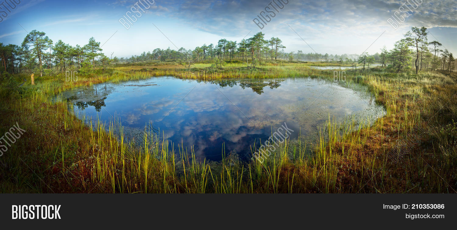 Sunrise Bog. Icy Cold Image & Photo (Free Trial) | Bigstock