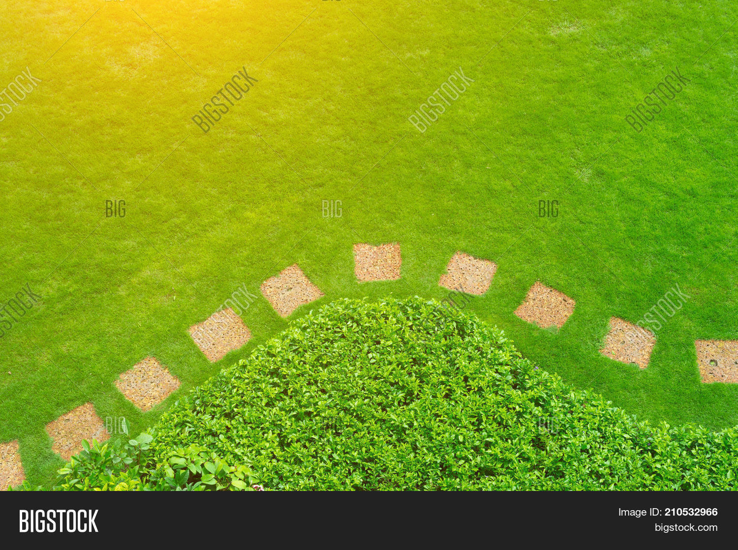 Sunny Morning Walk Image & Photo (Free Trial) | Bigstock