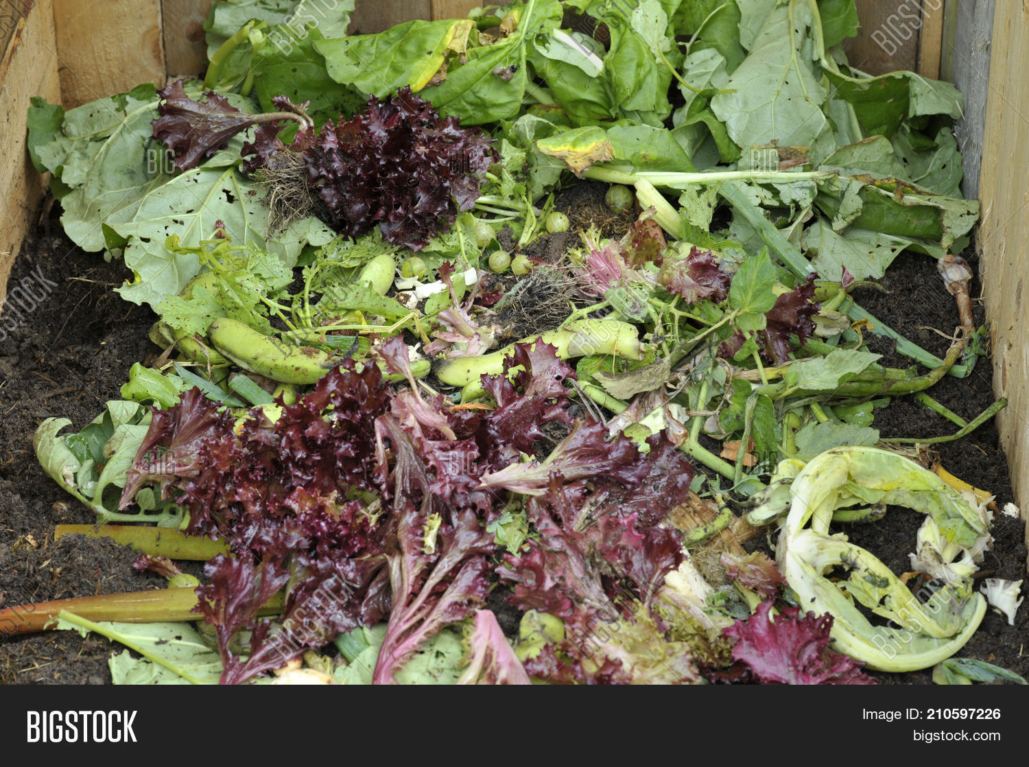 Kitchen Waste Image & Photo (Free Trial) | Bigstock