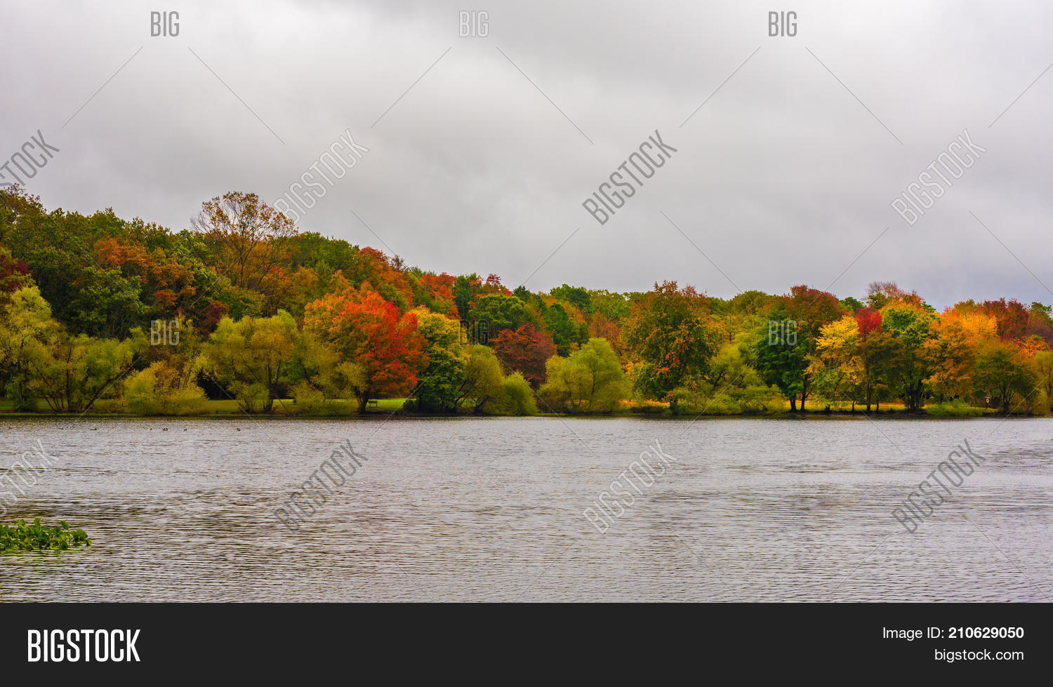 Bold Colors Autumn On Image & Photo (Free Trial) | Bigstock