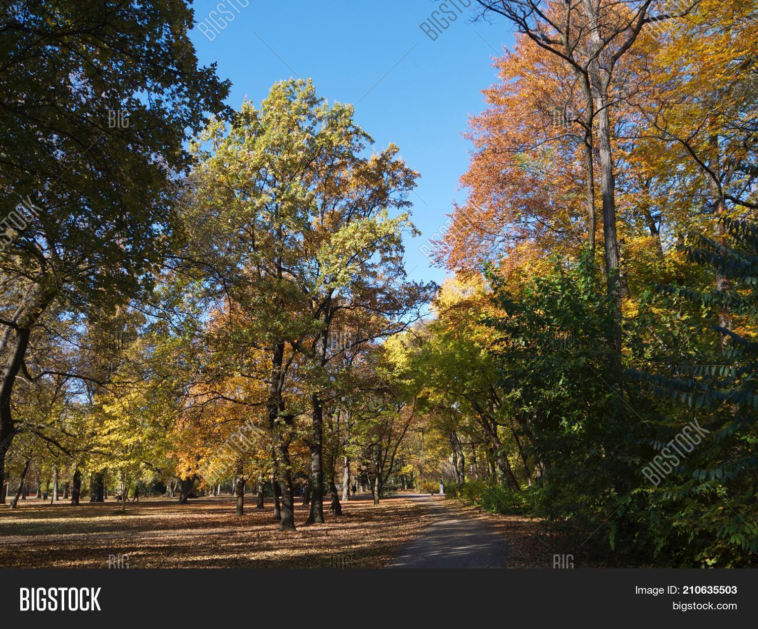 Fall Color Blue Sky: Image & Photo (Free Trial) | Bigstock