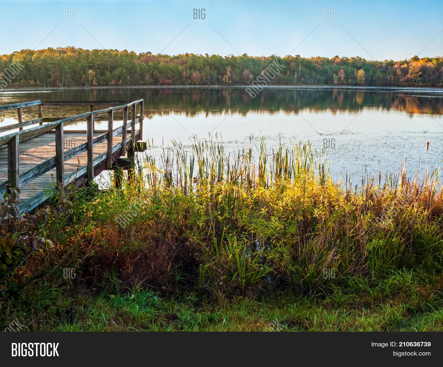 Early Autumn Scene Image & Photo (Free Trial) | Bigstock
