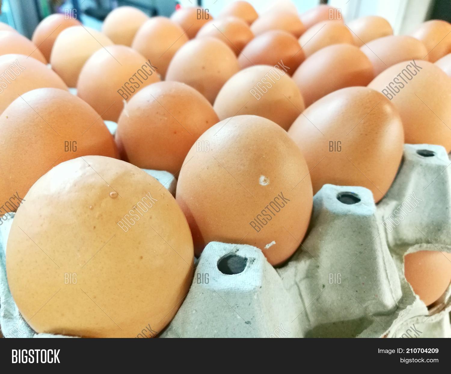 Organic Chicken Egg Image & Photo (Free Trial) | Bigstock