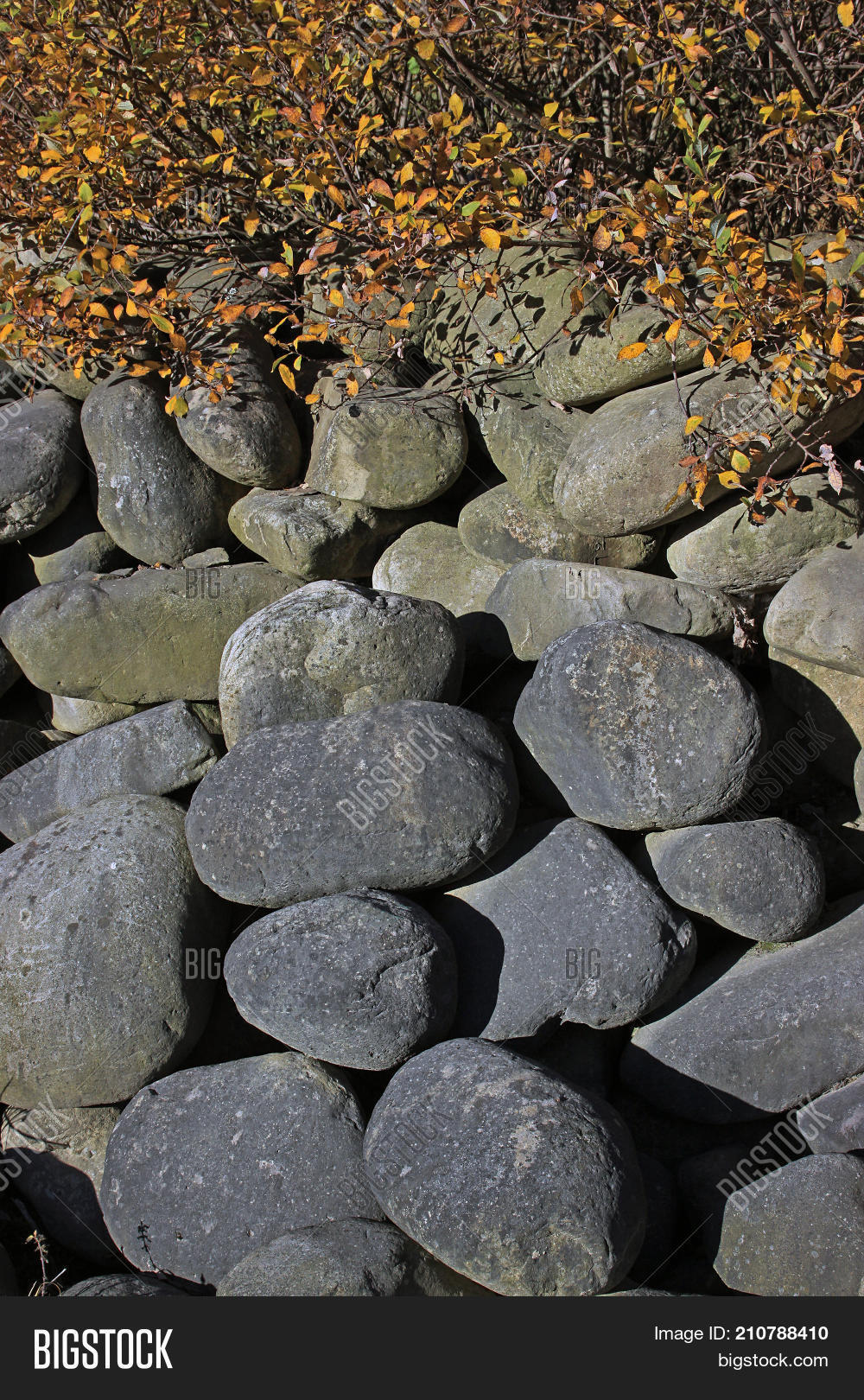 Large Oval Stones Image & Photo (Free Trial) | Bigstock