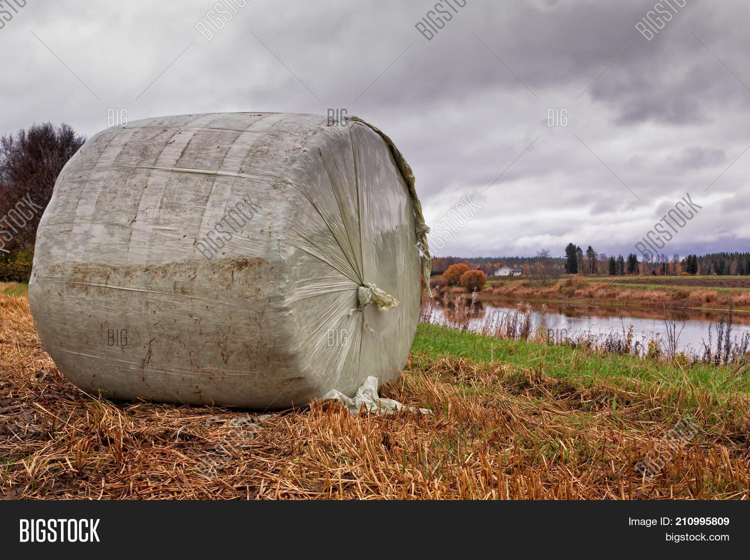 Roll Bale By River Image & Photo (Free Trial) | Bigstock