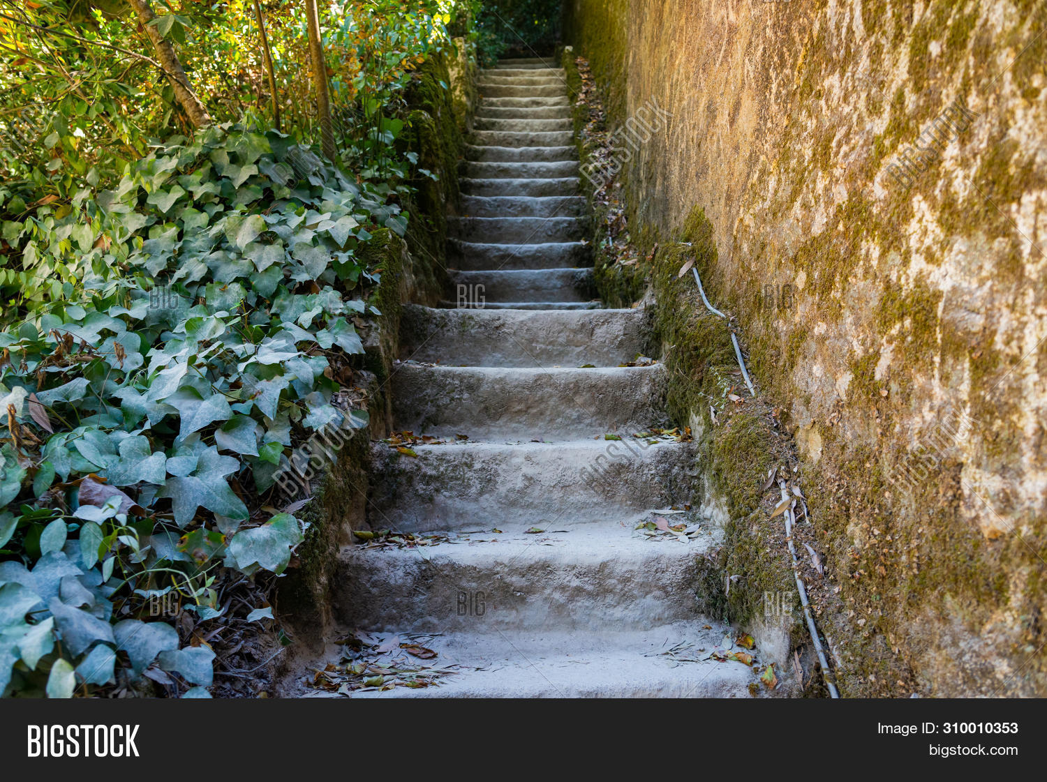 Stairs. Abstract Steps Image & Photo (Free Trial) | Bigstock