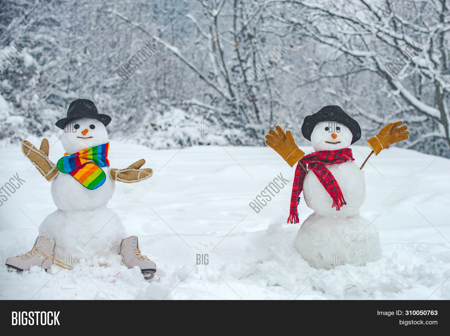 Snowman Friend Image & Photo (Free Trial) | Bigstock