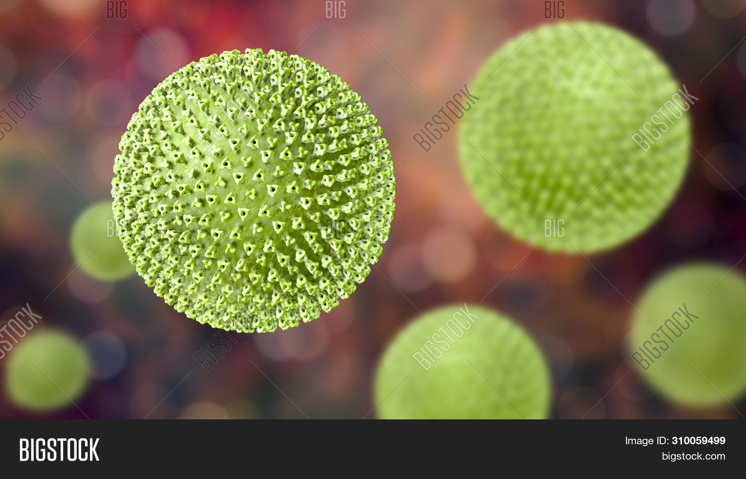 Measles Viruses. 3d Image & Photo (Free Trial) | Bigstock