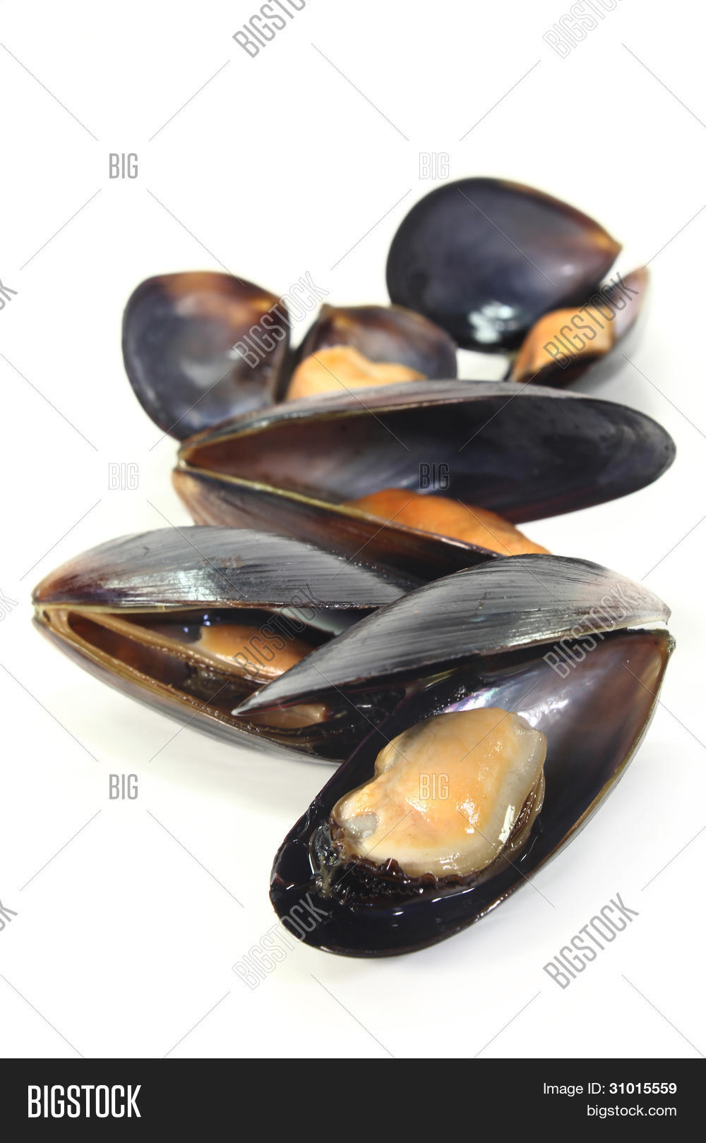 Mussels Image & Photo (Free Trial) | Bigstock