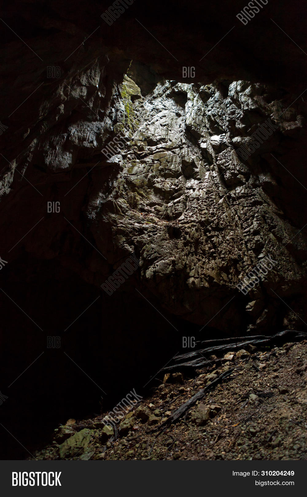 Cave Opening Lush Image & Photo (Free Trial) | Bigstock